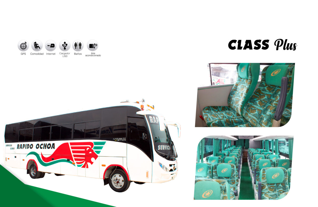 Nuestros Vehículos - Rápido Ochoa